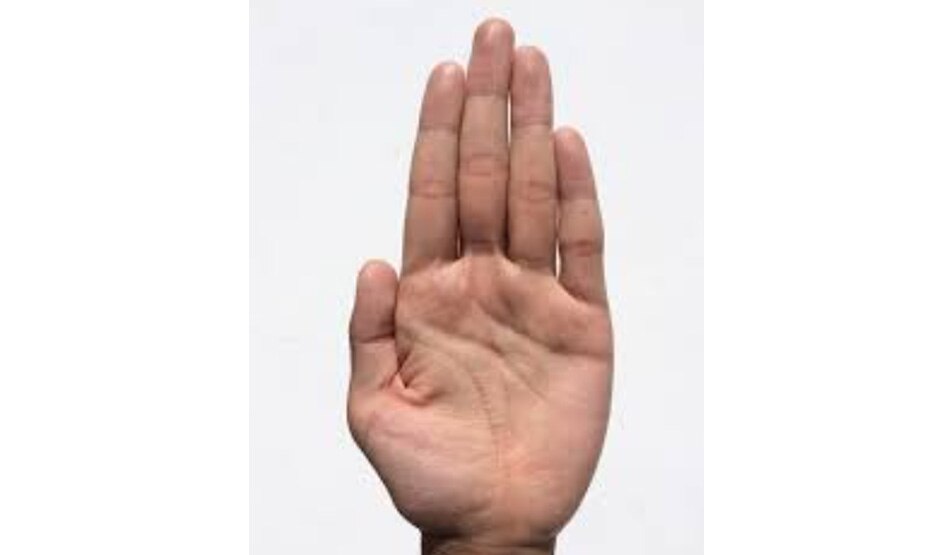 Sign On Palm 
