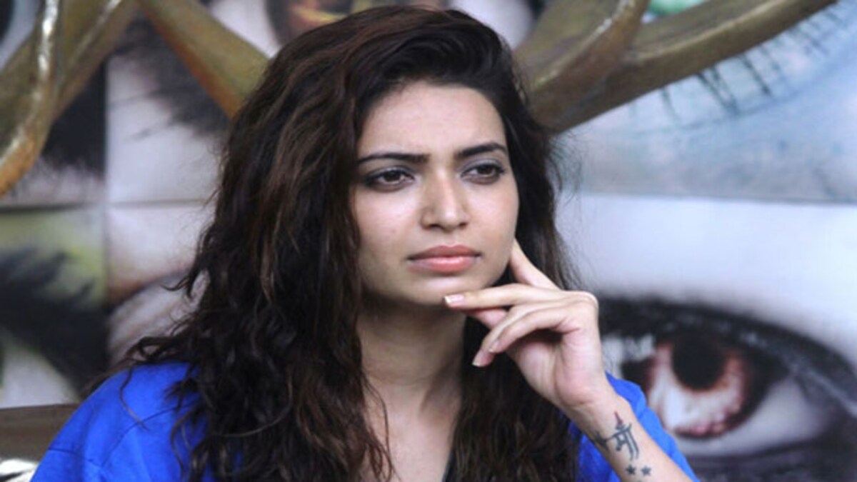 आखिर कौन बन सकता है बिग बॉस 8 का विजेता Bigg Boss 8 Halla Bol Grand