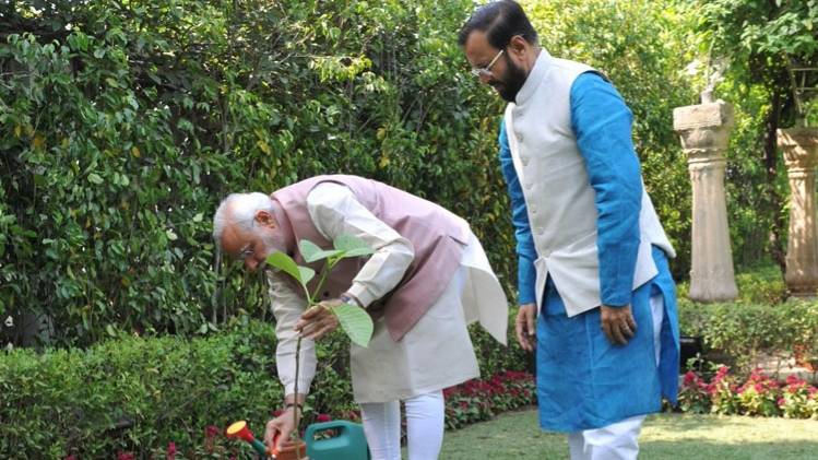 पर्यावरण के लिए ऐतिहासिक कदम उठा रहा भारत, संयुक्त राष्ट्र ने की तारीफ ...