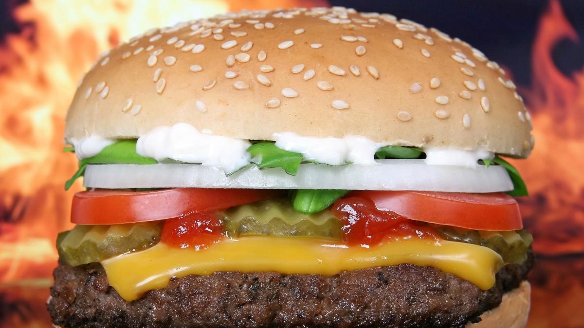 इस फेमस रेस्टोरेंट के बर्गर से निकली छिपकली! खाकर बीमार पड़ी महिला ...