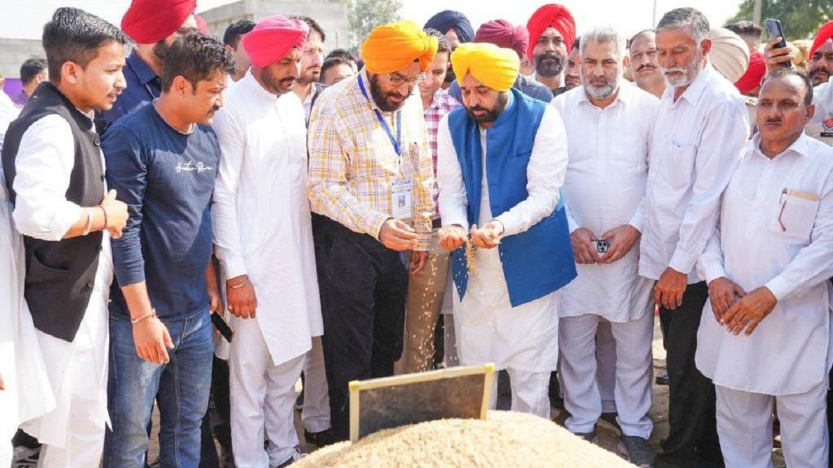 पंजाब: 110 लाख मीट्रिक धान की खरीद पूरी, किसानों को 18,660 करोड़ रुपये ...