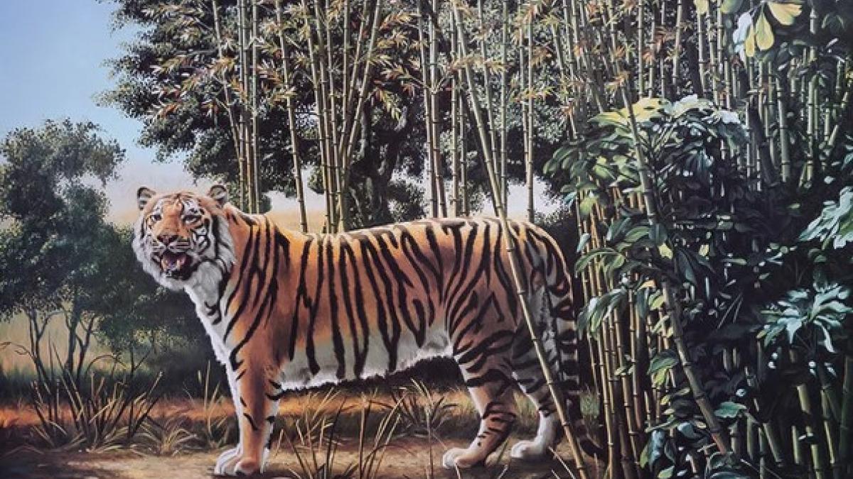 Optical Illusion: तस्वीर में मौजूद है Hidden Tiger, ढूंढ लिया तो माइंड ...