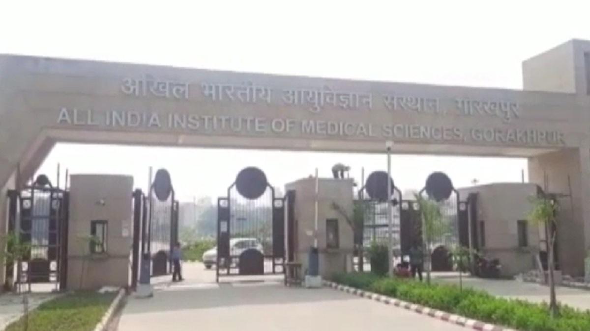 बढ़ सकती है Gorakhpur Aiims में निलंबित छात्रों की संख्या, जांच कर रहा ...