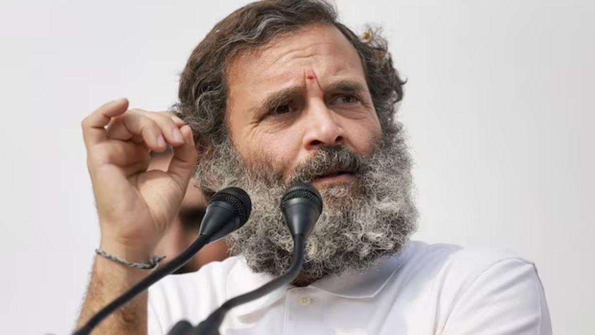 विजय चौक तक मार्च राष्ट्रपति से मुलाकात देशभर में प्रोटेस्ट राहुल