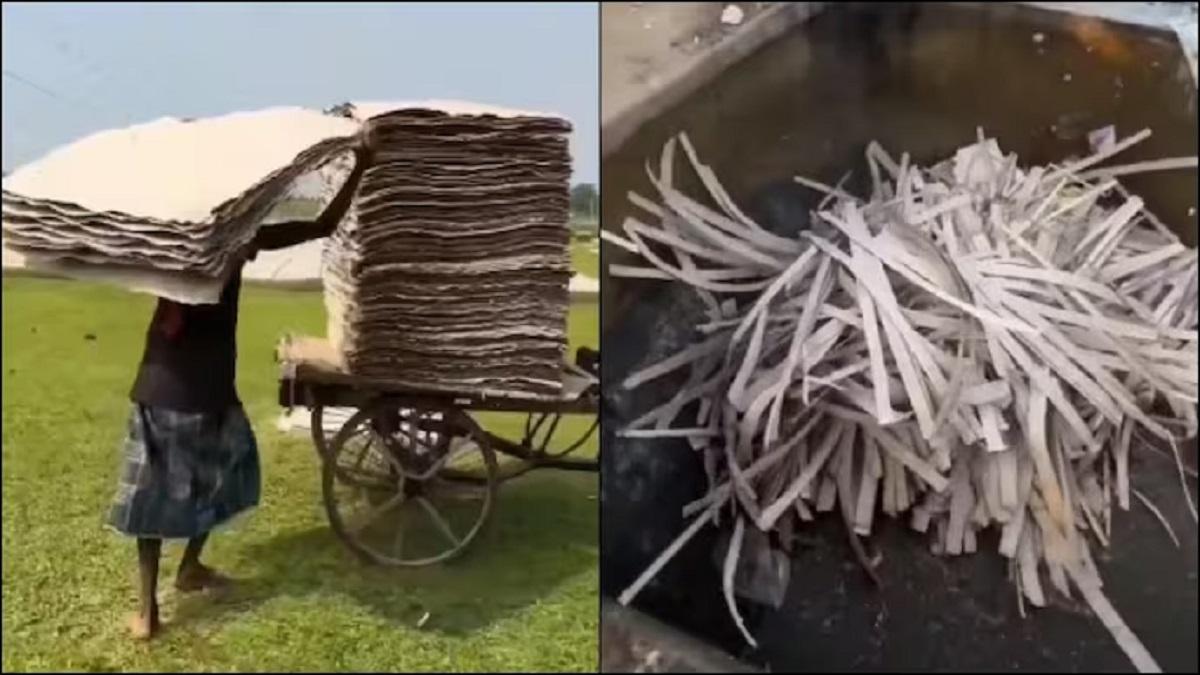 कभी देखा है कचरे से कैसे बनता है कागज? वायरल हुआ VIDEO - waste to fresh ...