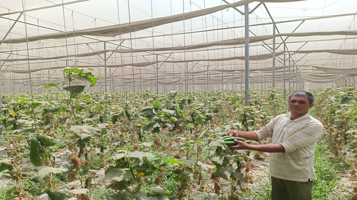 फल-सब्जियों की खेती से बढ़िया कमाई कर रहा है ये किसान, सालाना 30 लाख तक ...