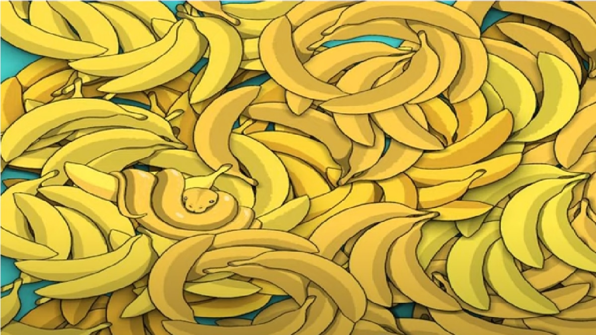 Optical Illusion Quiz: केलों के बीच छिपा है एक सांप, तेज नजर वाले भी ...