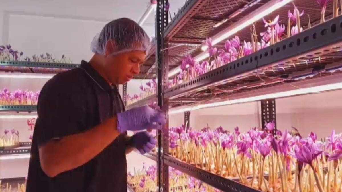 कैंसर हुआ, किडनी निकाली गई... इस शख्स ने बीमारी में भी नहीं मानी हार ...