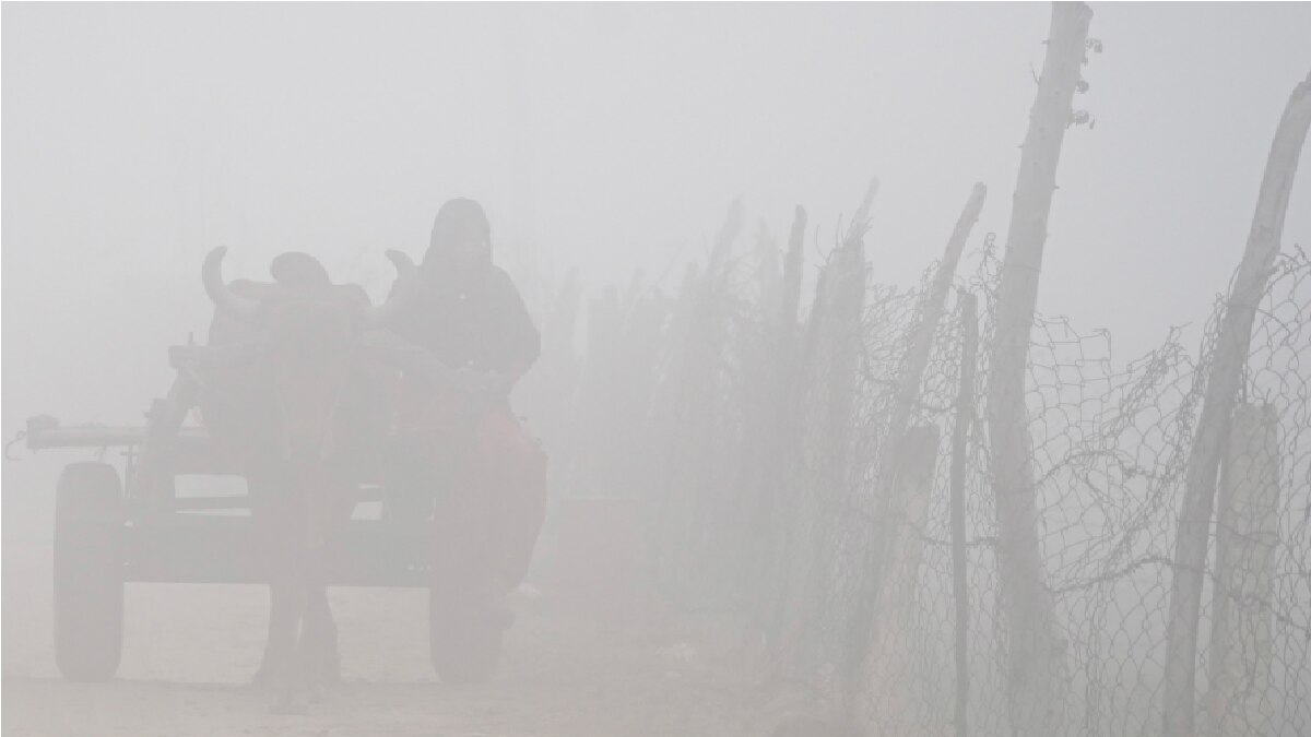 Dense Fog Alert: इस राज्य के 33 जिलों में घने कोहरे का येलो अलर्ट, मौसम ...