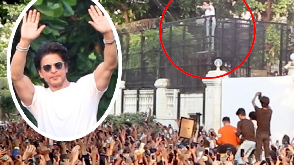 SRK Birthday: मन्नत के बाहर जुटे शाहरुख के हजारों फैंस - short-videos ...