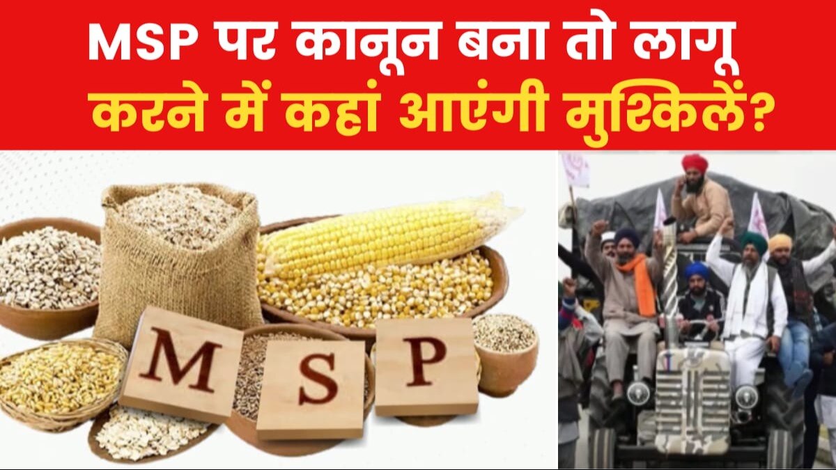 क्या है MSP, इस पर क्यों मचा है घमासान? समझें किसानों और सरकार का पक्ष ...