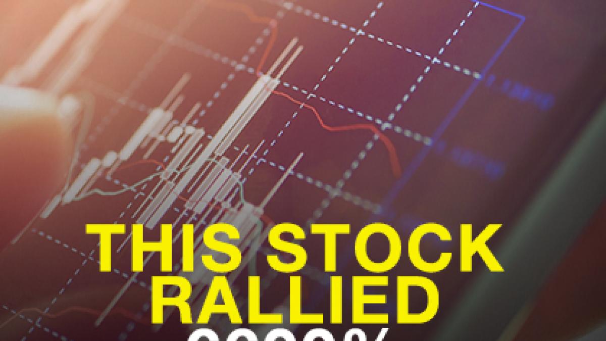 This Multibagger Stock Has Turned Rs 1 Lakh Investment To Over Rs 77 ...