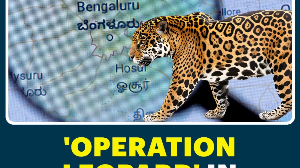 Leopard Task Force Launches Search Operation In Bengaluru’s Electronic City After CCTV Sightings ...