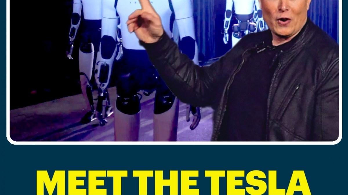 Elon Musk Introduces Optimus Robots: Personal Assistants Starting At ...