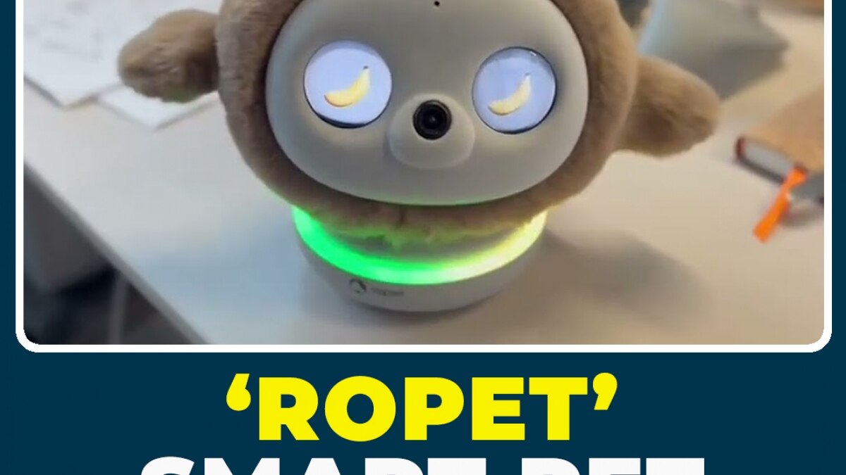 AI Robotic Pet ‘Ropet’ Wows Attendees At CES, Las Vegas - Tech Today - Business Today
