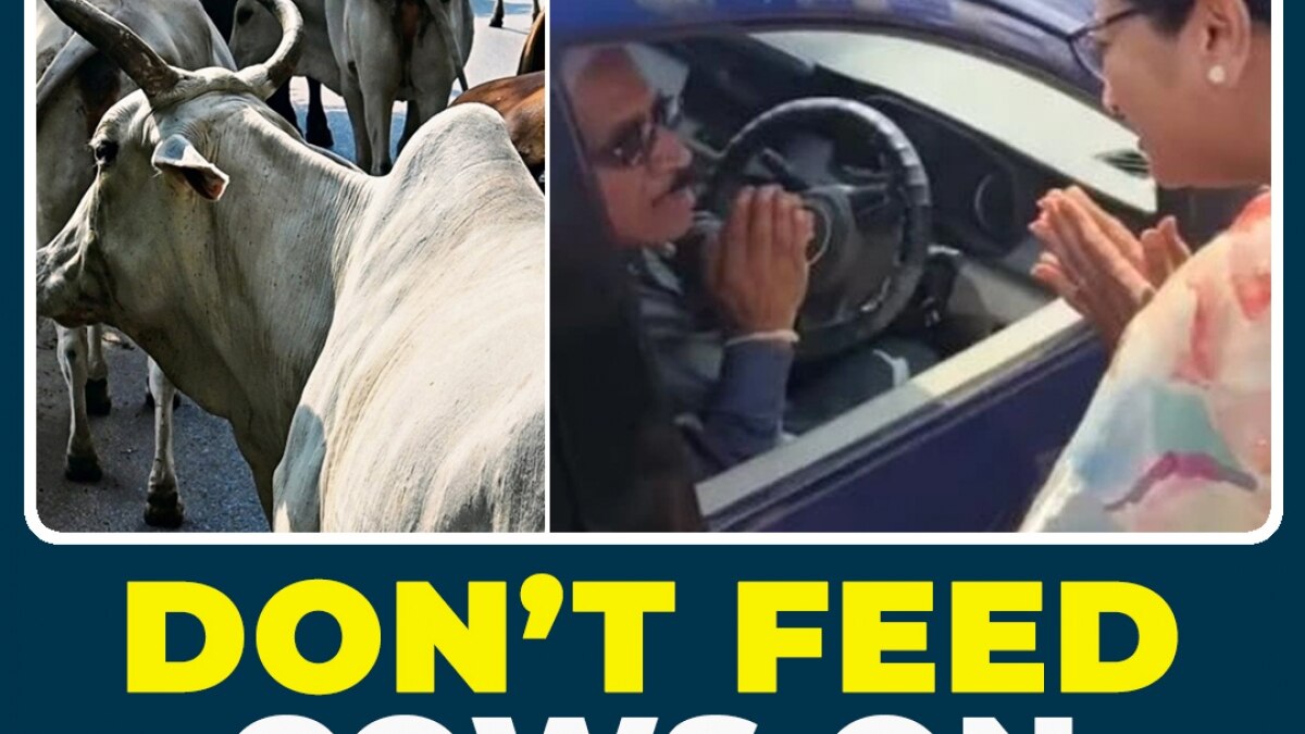 Delhi CM Rekha Gupta Appeals: Don’t Throw Roti To Feed Cows - BT TV ...