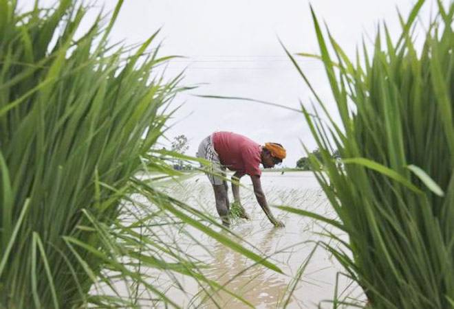 India Adb Sign 120 Mn Loan Pact For Irrigation In Odisha Businesstoday