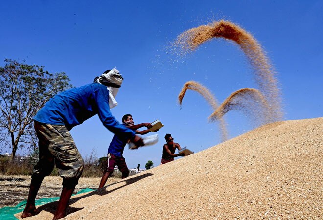 Karnataka bioeconomy grows 17%, contributes 10% to state GDP ...