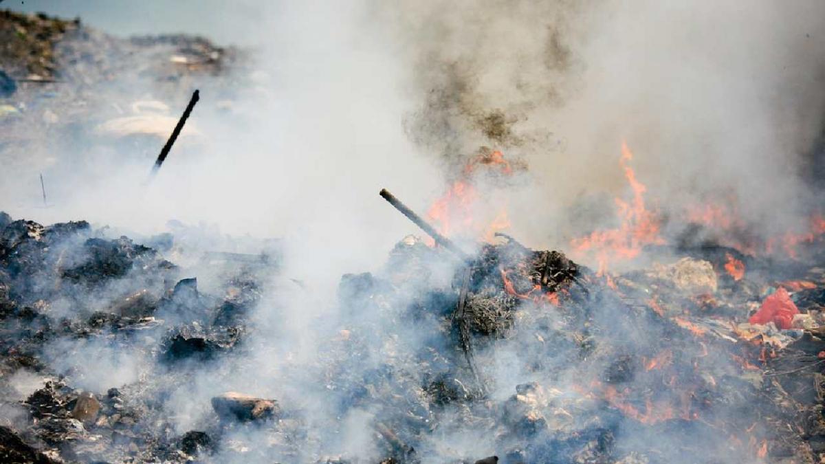 Delhi govt extends anti open burning campaign till June end ...