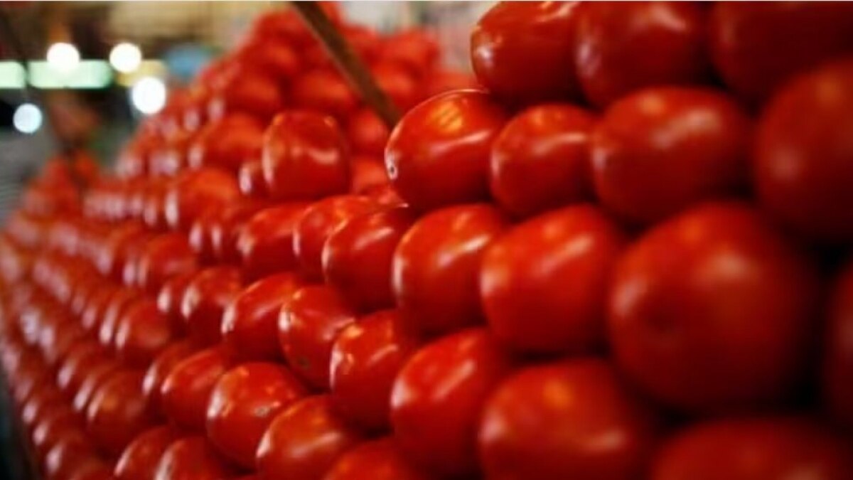 Delhi NCR to get tomato at discounted prices from Friday as Centre intervenes - BusinessToday