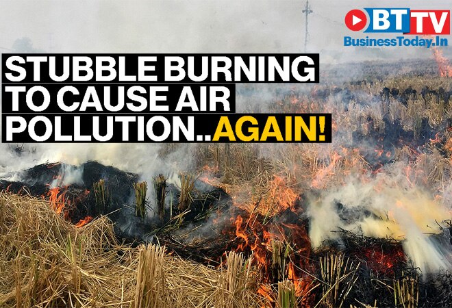 Stubble burning begins in Punjab as most farmers can't afford machines ...