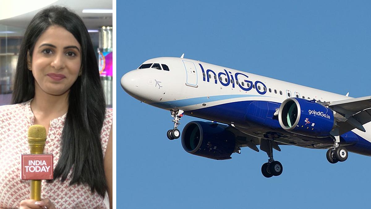Watch: IndiGo Co-founder Gangwal Sells His 2.8% Stake In The Airline