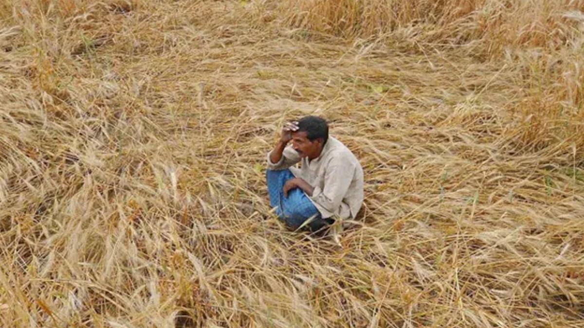 Farmers Received Compensation Lesser Than Premiums Paid
