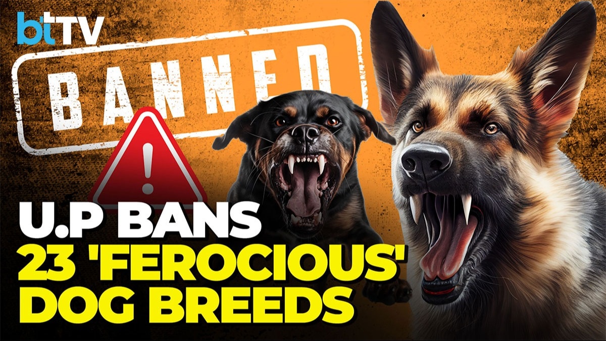 List Of 23 Dog Breeds That Uttar Pradesh Govt Has Sought To Ban
