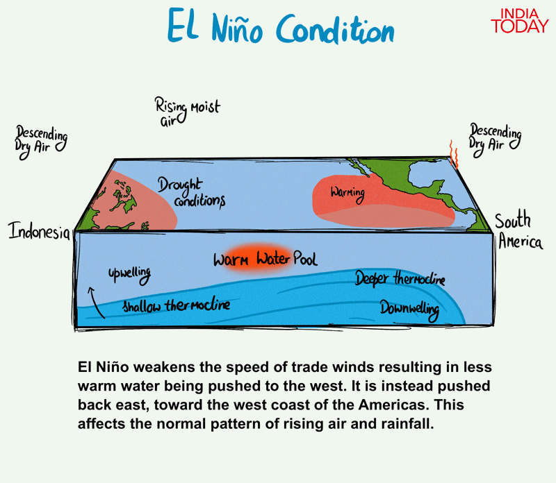 El Nino: What, why, how of the unique climate pattern set to hit the ...
