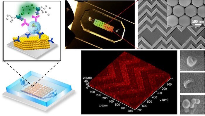 Cancer detection device: This new chip detects cancer faster from just ...