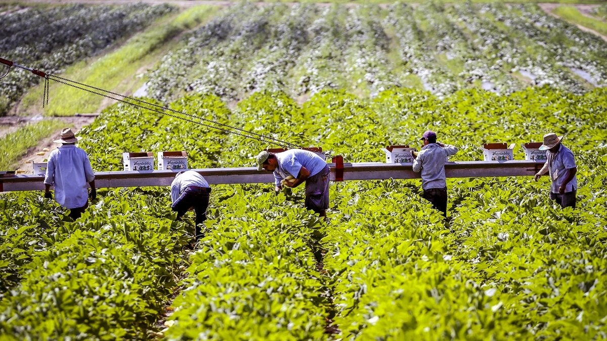 US to spend $1 billion to promote climate-friendly agriculture - India ...