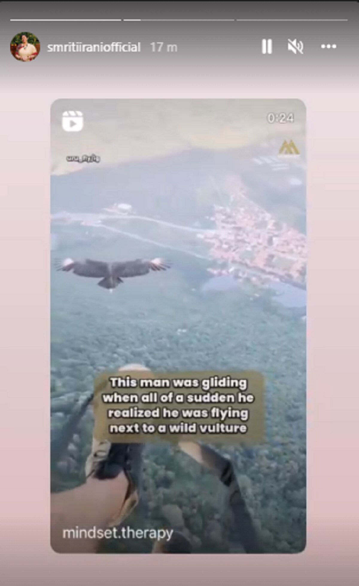 Smriti Irani shares viral video of man paragliding with vulture. Watch ...