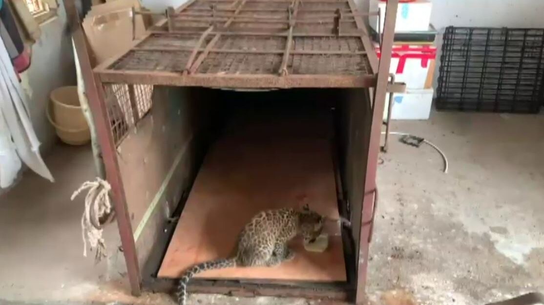 PM Narendra Modi lands in South Africa's Johannesburg for BRICS summit ...