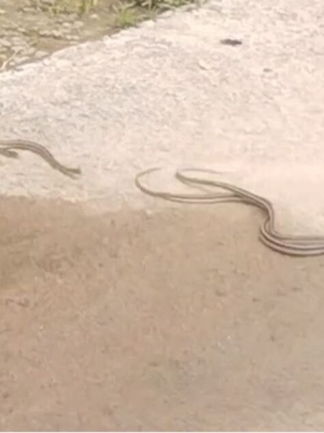 Imran Khan to be sworn-in as Pakistan - India Today