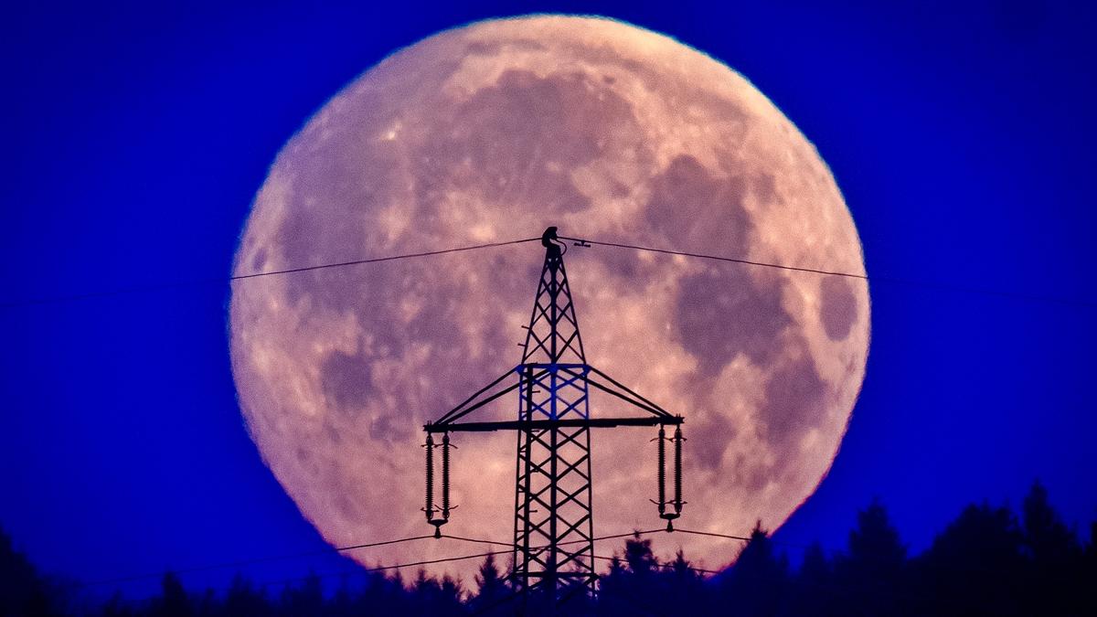 Pink Moon rises: Skywatchers delighted by April full moon | In Pics ...