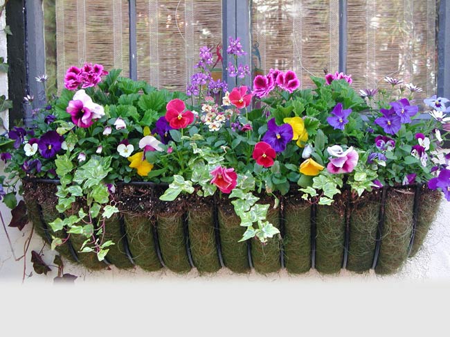 India Today Home: Window dressing - India Today