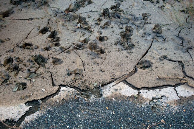 6 photos of how asbestos is killing a village in Roro hills - India Today