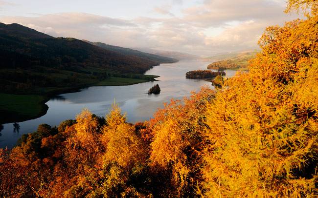 SEE PICS: 10 amazing forest pictures that will make you want to travel ...