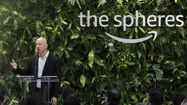 Amazon creates forest inside its office. Literally