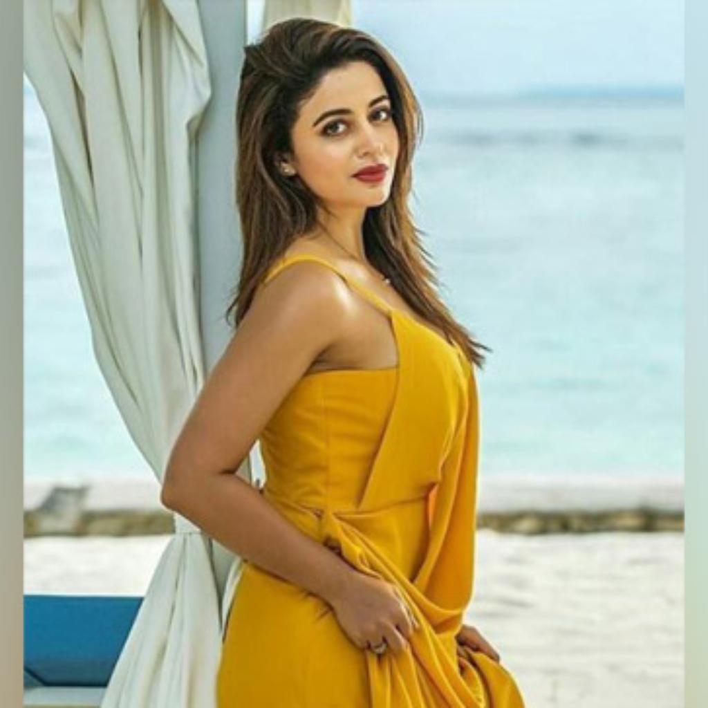 Bigg Boss 12: These hot pictures of Neha Pendse will make you swoon ...