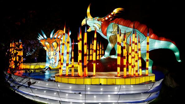 France Festival of Lights: As Christmas is close, Paris starts to ...