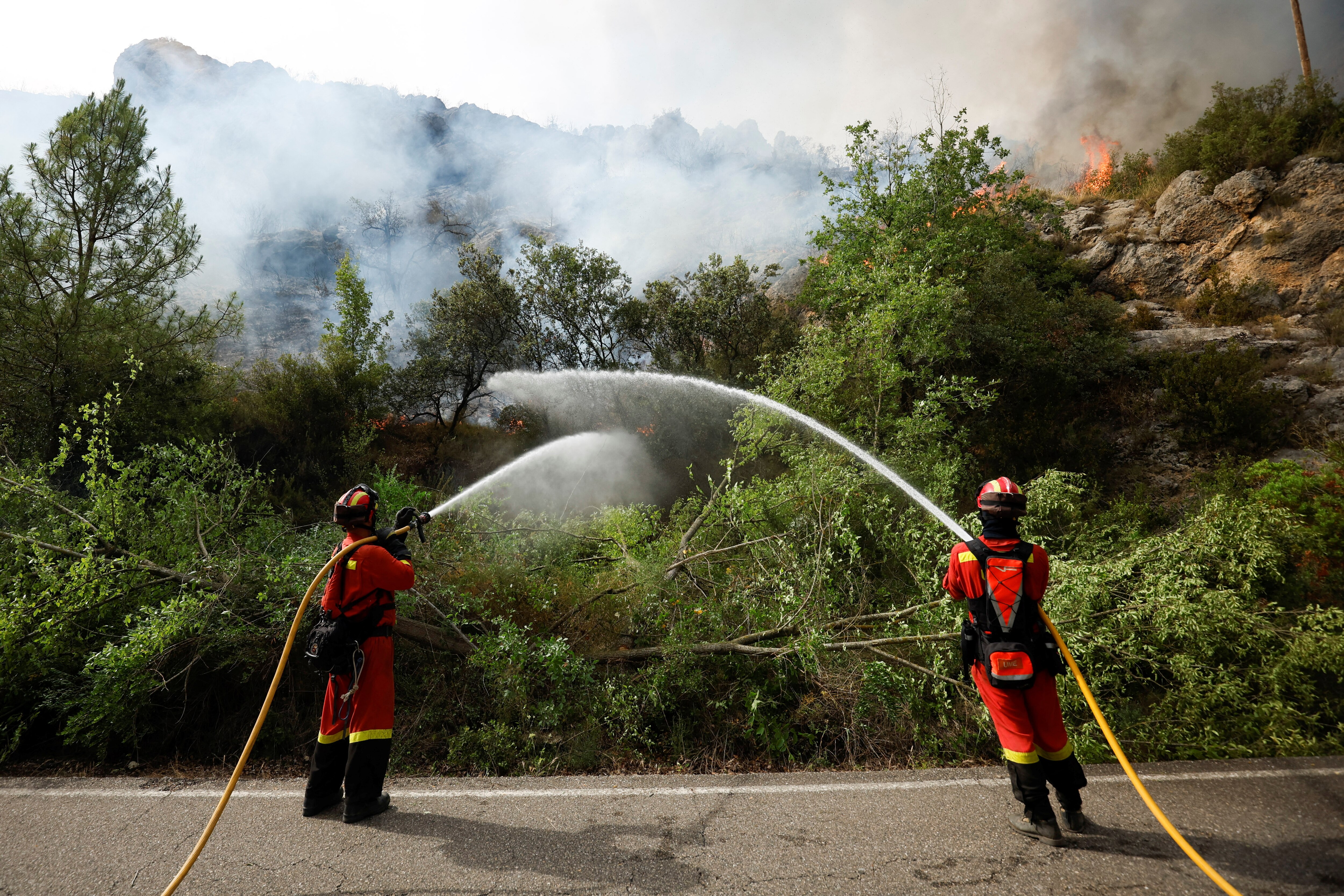 Firemen battle blazes as wildfires ravage woods in Spain's Catalonia | Pics