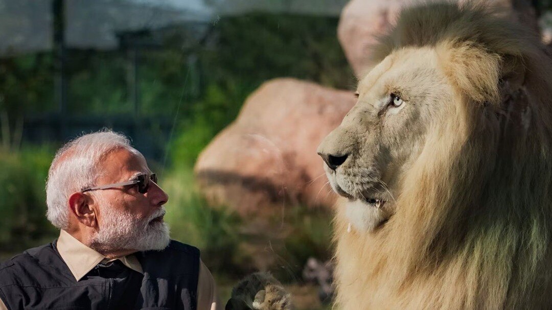 PM Modi Visits Vantara: India’s Largest Wildlife Rehabilitation Centre ...