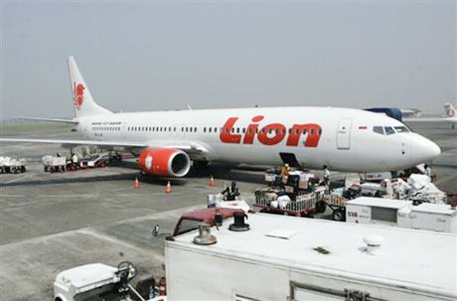 Passenger plane skids off runway after hitting a cow in Indonesia ...