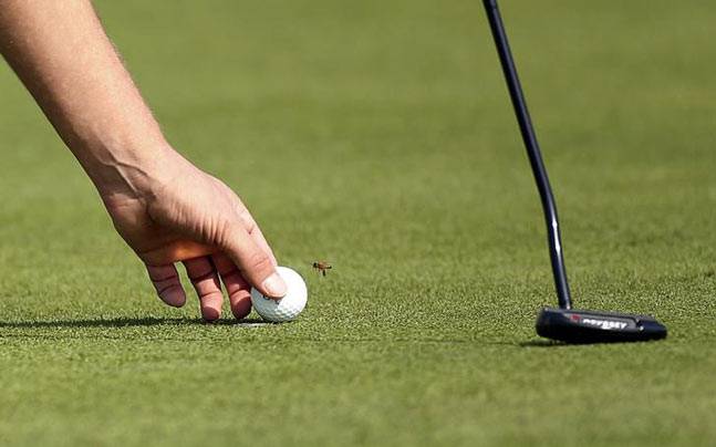 Indian golfer Rai jumps to eighth place in Aboitiz tournament - India Today