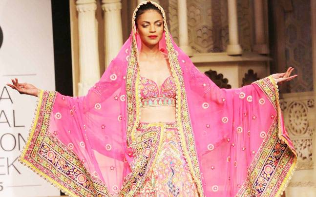 Model Nayanika Chatterjee wants a better system for Indian modelling ...