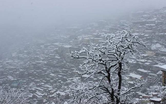 Love snow? Rush to Shimla as the place looks beautiful after back-to ...