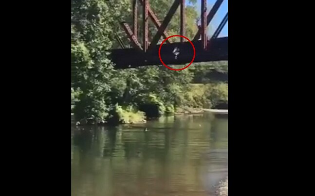 Watch: 4-year-old gets thrown off a bridge as his mother cheers - India ...