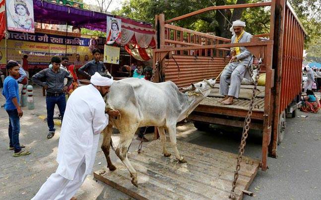 Karnataka: Cow vigilantes assault truck driver - India Today
