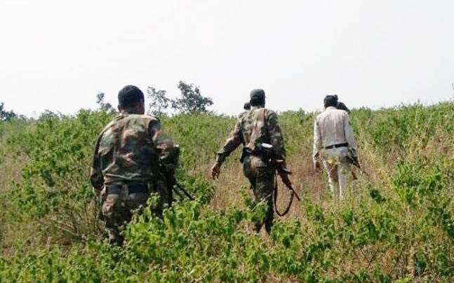 All 8 SIMI terrorists, who escaped from Bhopal jail, killed in ...